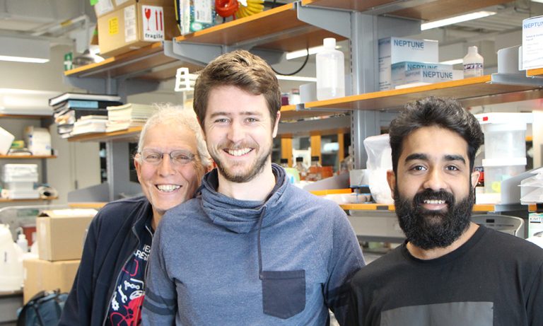 How Simple Multicellularity Can Evolve into Regulated Reproduction ...